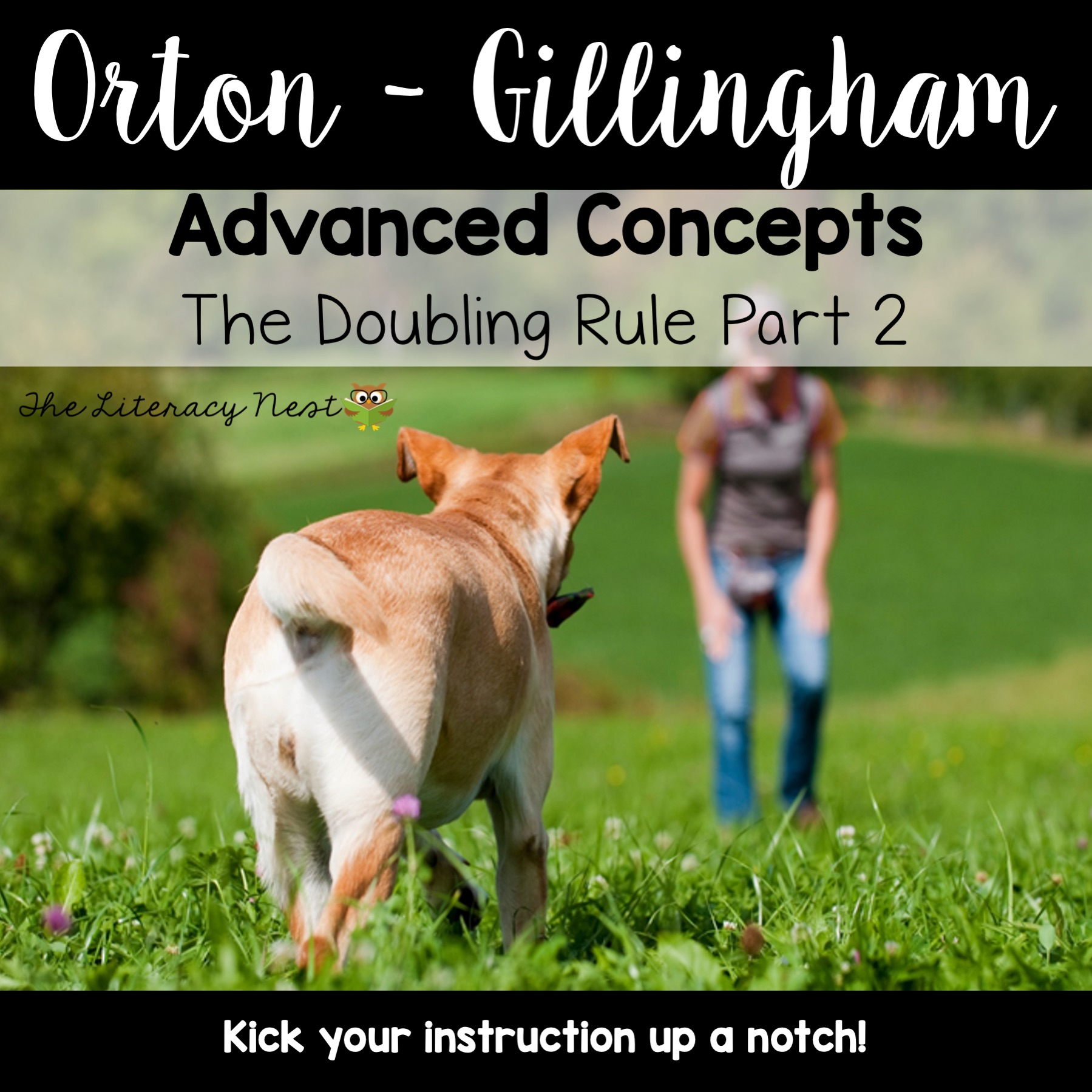 Advanced Orton Gillingham Activities For Doubling Rule Part 2 Word advanced-orton-gillingham-activities-for-doubling-rule-part-2-word
